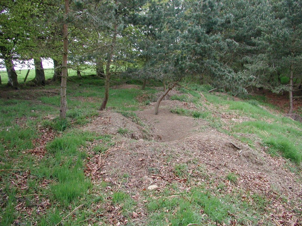 Badger sett | Barrett Environmental Ltd