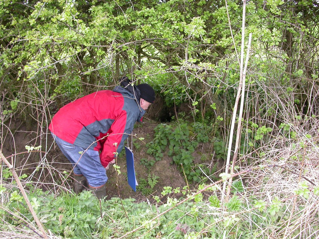 Badger survey | Barrett Environmental Ltd