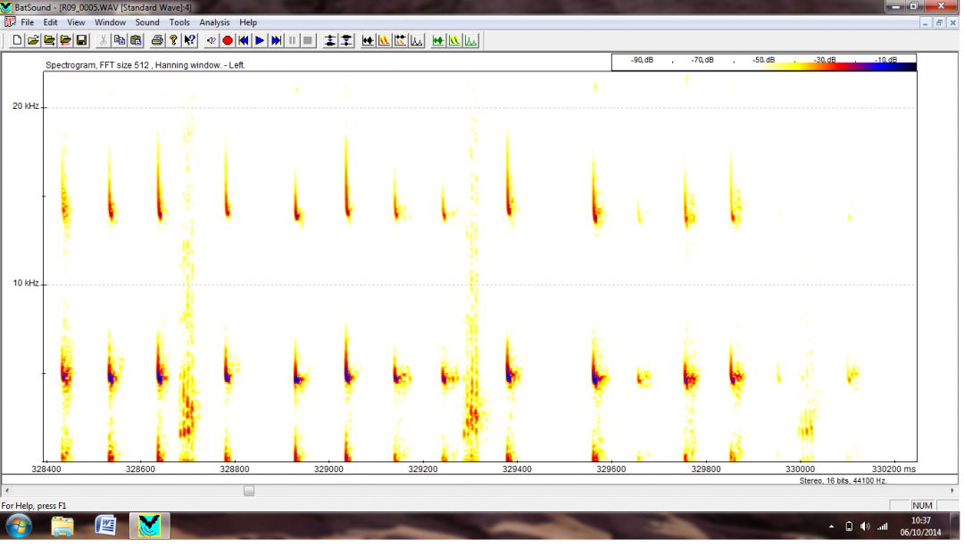 Common pipistrelle sonogram | Barrett Environmental Ltd