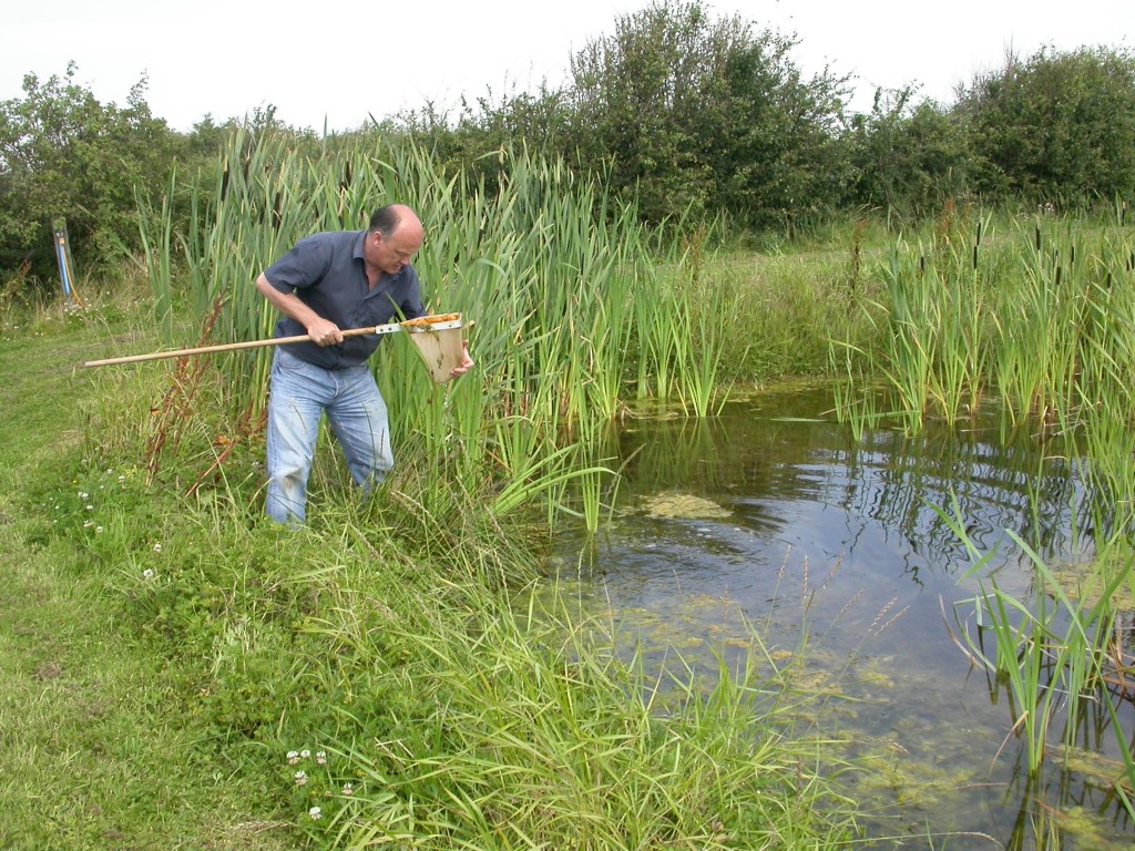 GCN surveying | Barrett Environmental Ltd